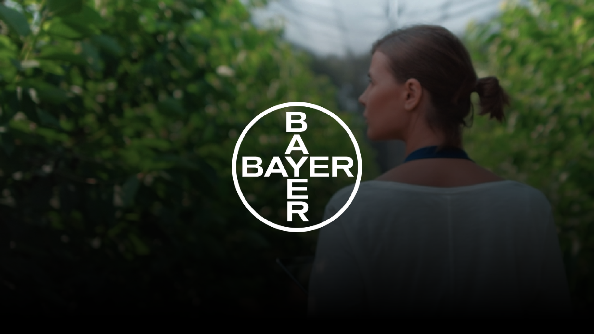 Bayer: Orchestrating Data Organization | CI&T